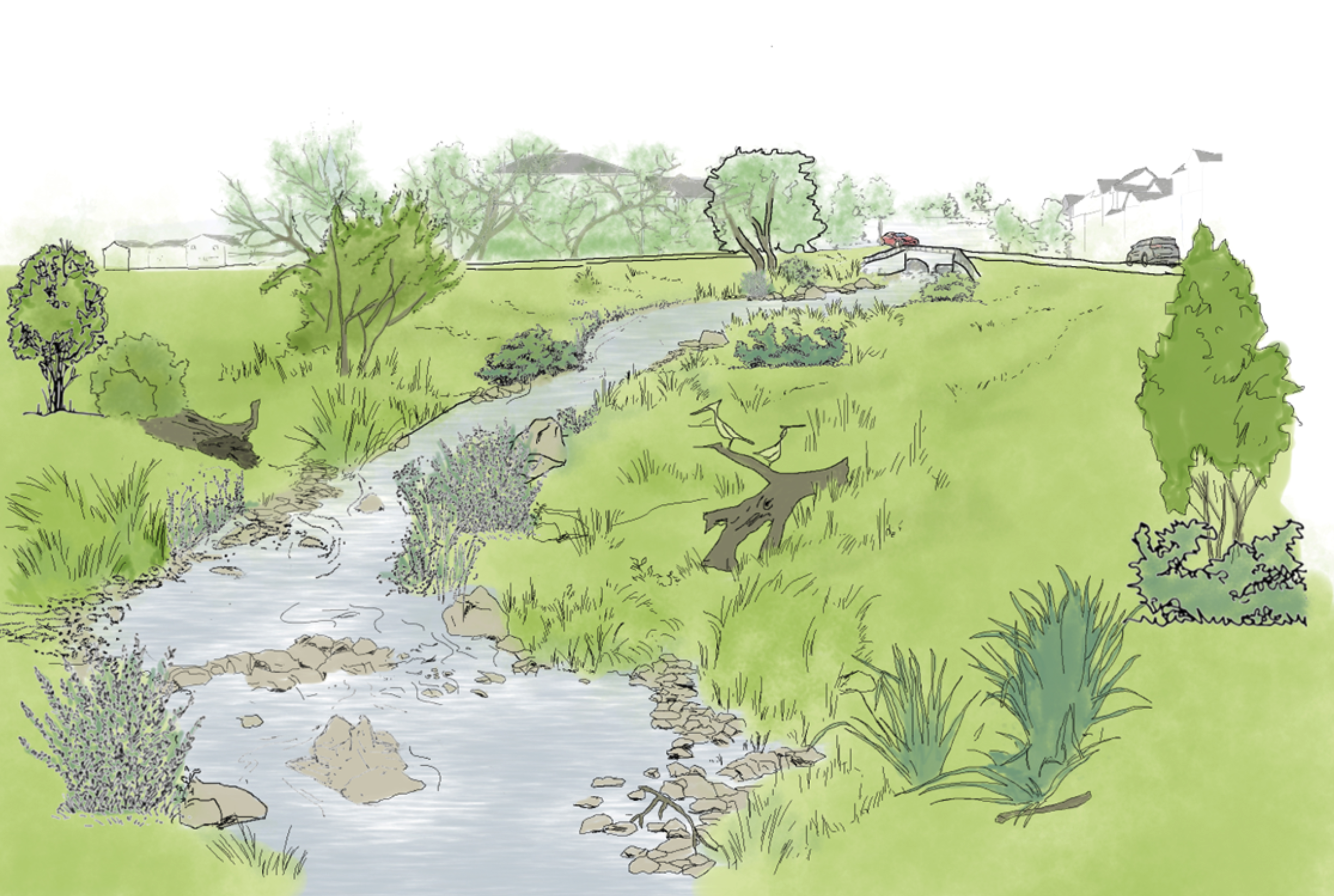 Urban Stream Assessment Procedure (USAP) - Mile High Flood District